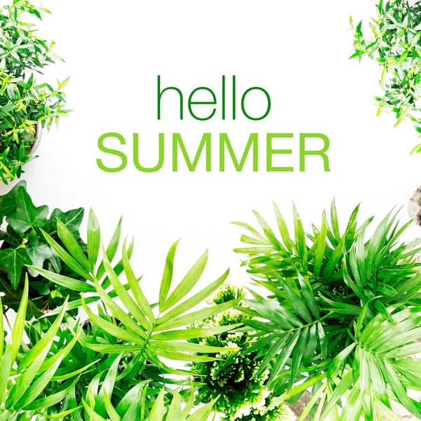 Hello augusztus Stock fotók, Hello augusztus Jogdíjmentes képek ...