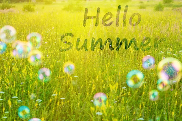 Hello june summer Stock Photos, Royalty Free Hello june summer Images ...