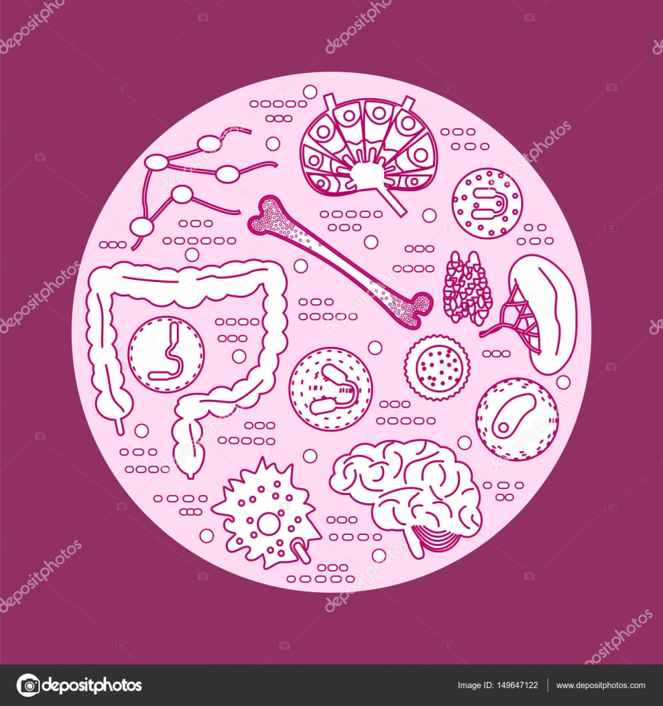 Immune System Icon Set Stock Vector Image By ©greenvector 149647122