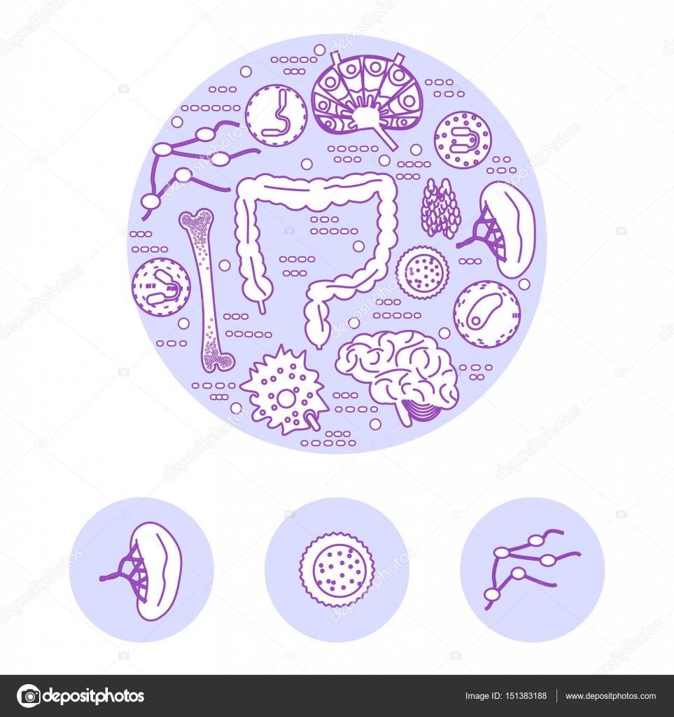 Immune System Icon Set Stock Vector Image By ©greenvector 151383188