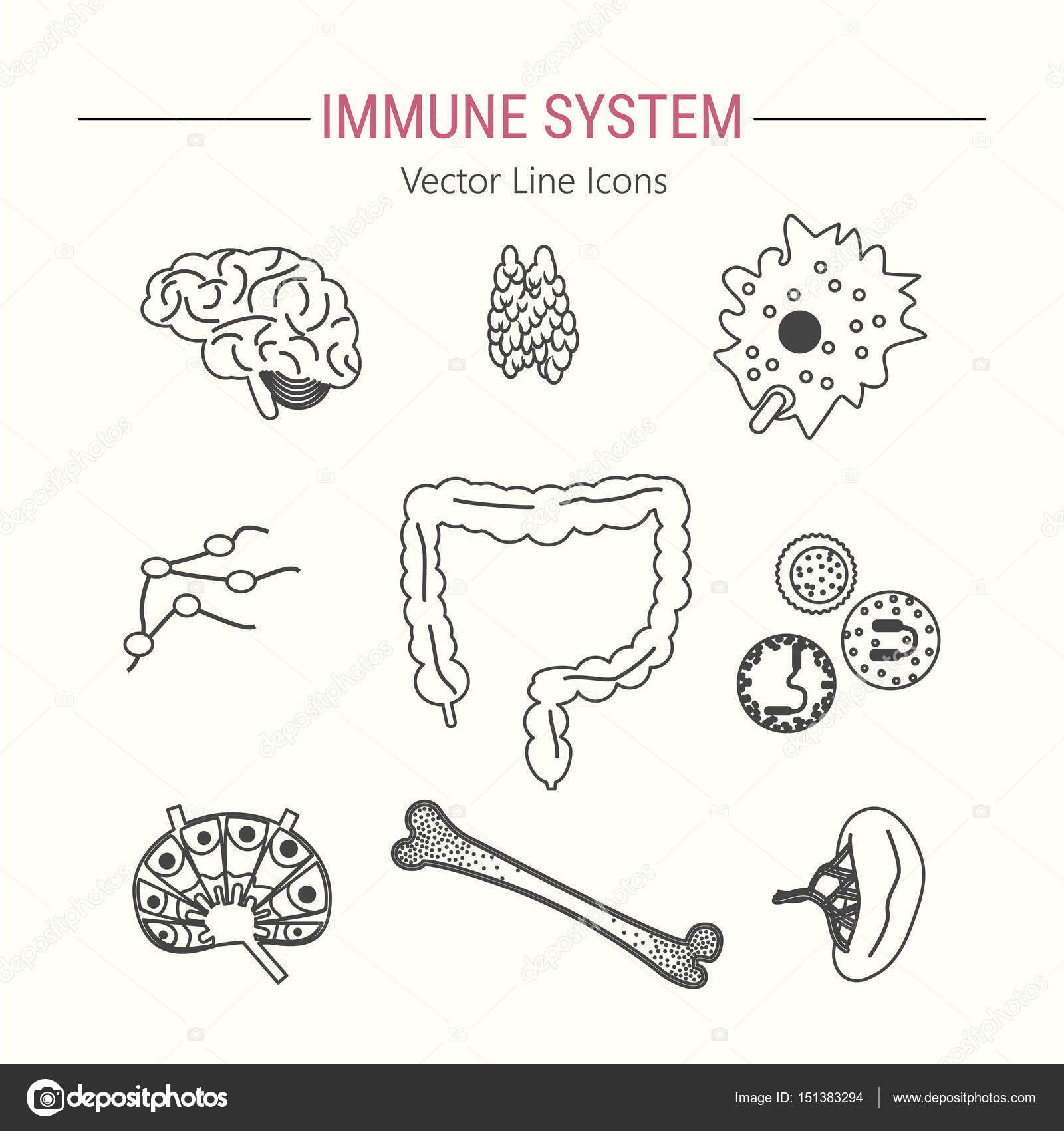 Immune system icon set Stock Vector Image by ©GreenVector #151383294
