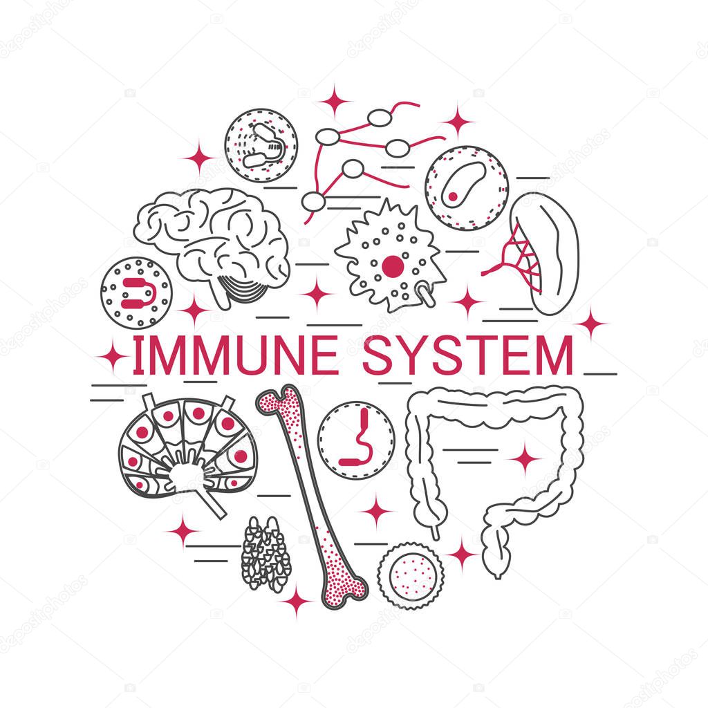 Immune System Icon Set — Stock Vector © Greenvector 151383284