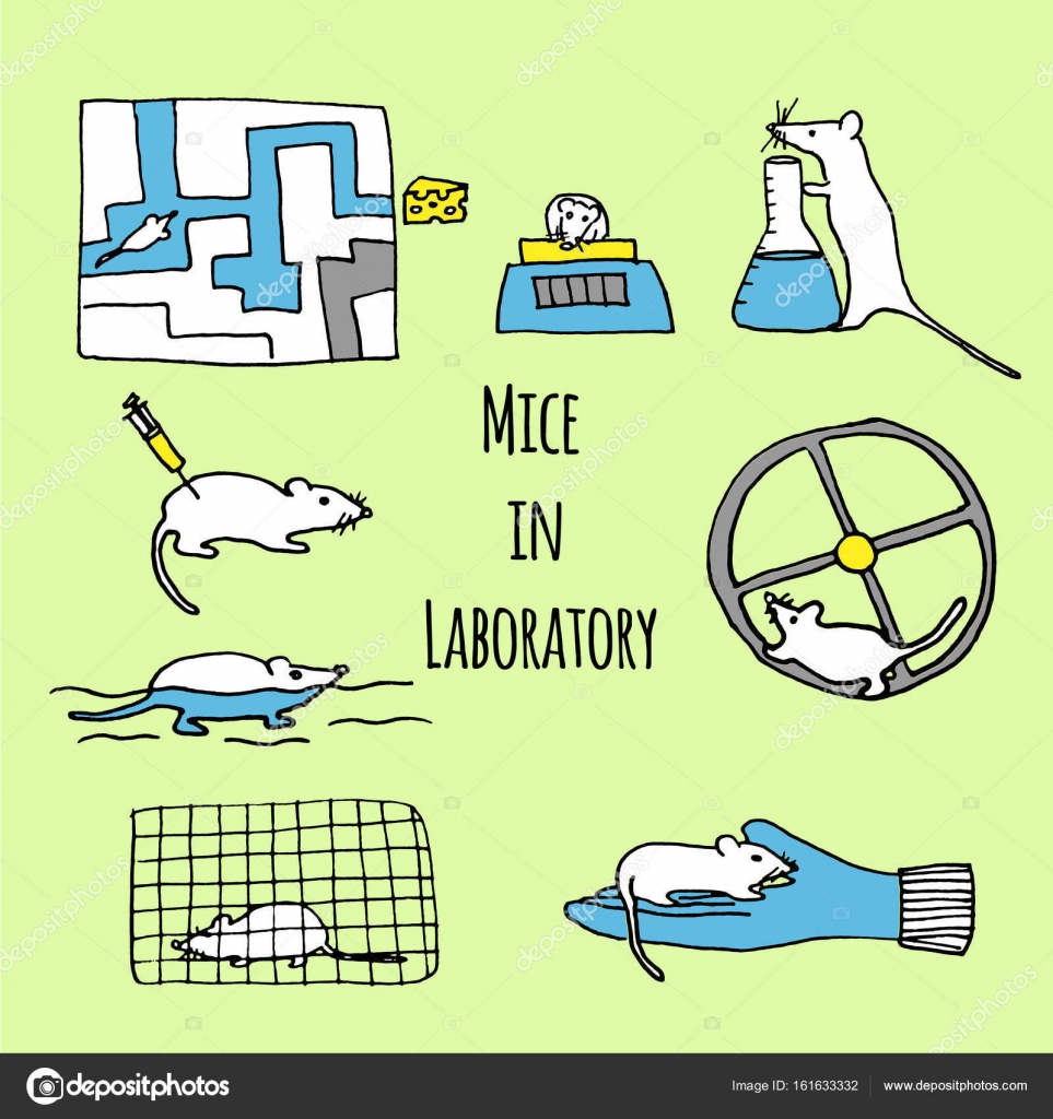 Mice in laboratory hand drawn Stock Vector Image by ©GreenVector #161633332