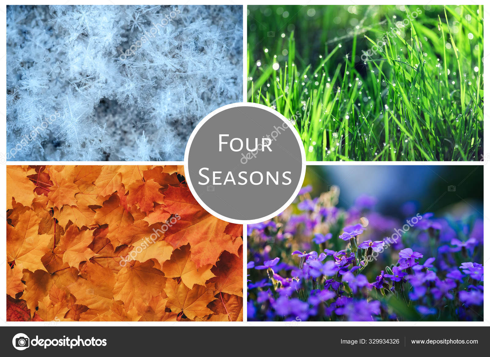 Four seasons nature collage: Winter, Spring, Summer, Autumn Stock Photo ...