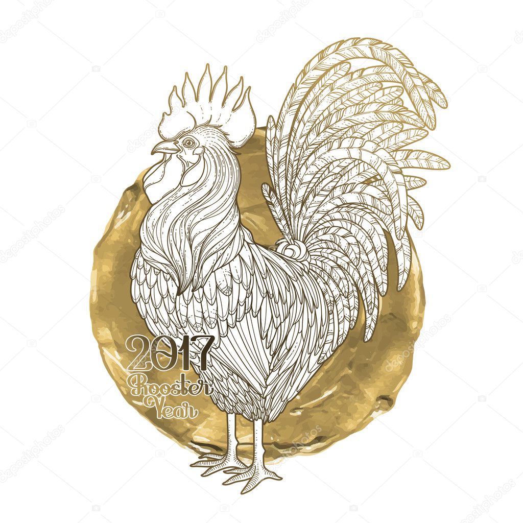 Graphic decorative rooster Stock Vector by ©homunkulus28 126804906