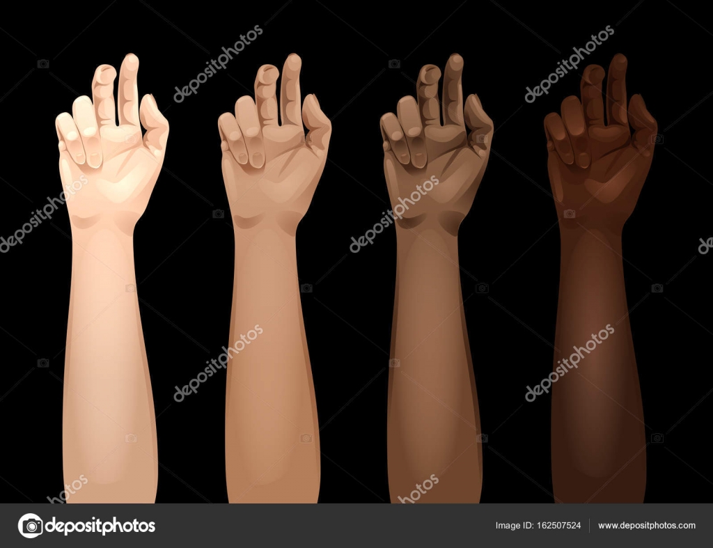 Women arms templates Stock Vector by ©homunkulus28 162507524