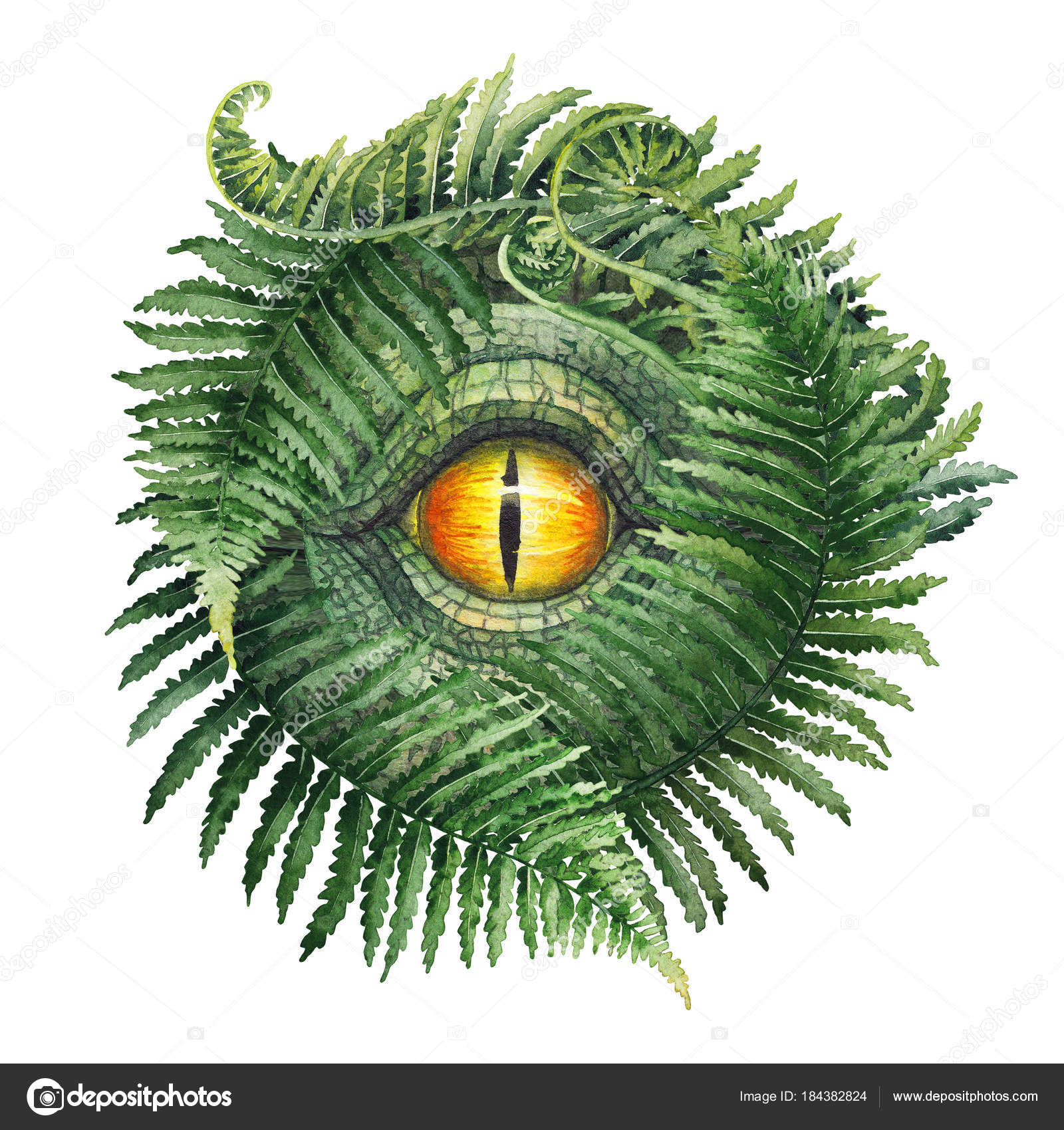 Dinosaur Eye Clipart