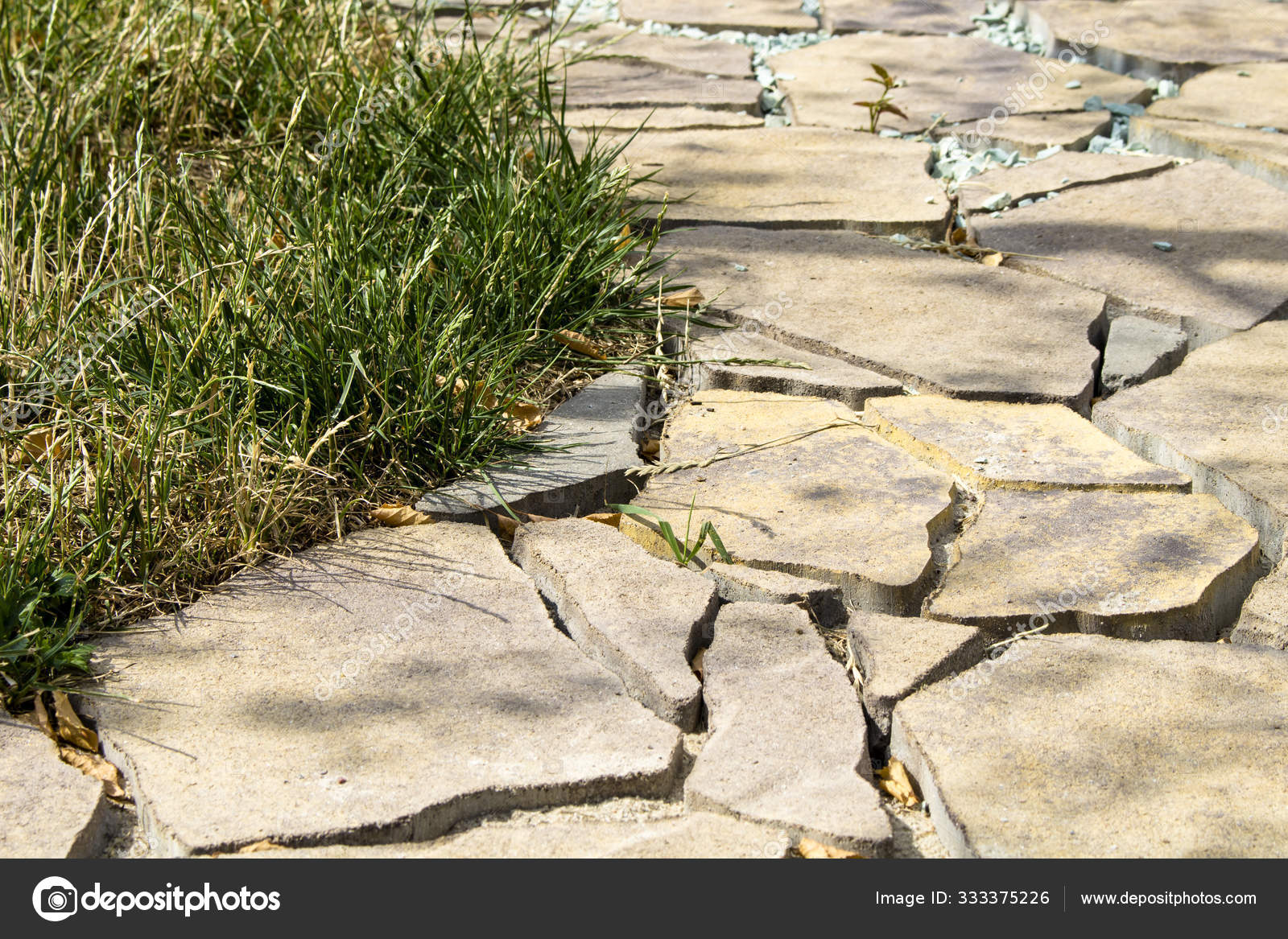 Garden path paved under natural stone and green grass — Stock Photo ...