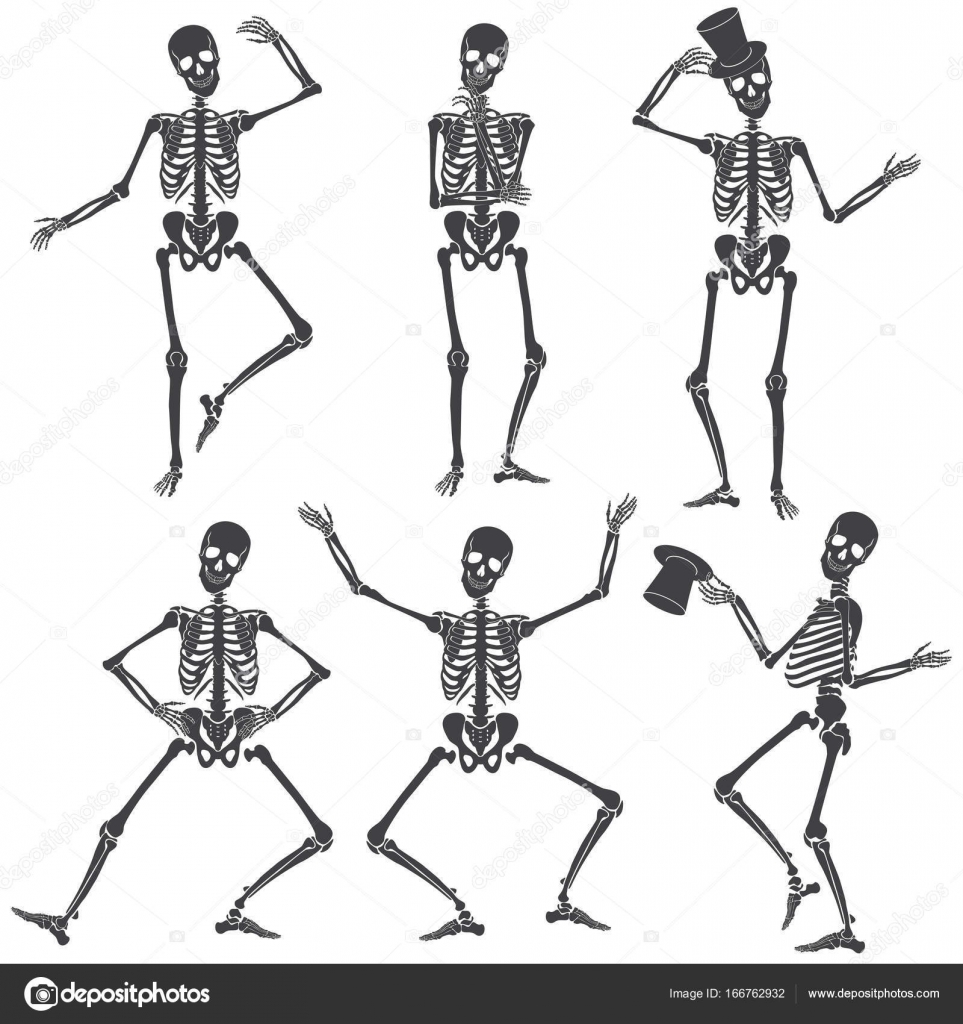 Qianzhousaurus Skeletal Daemonosaurus chauliodus skull skeletal by ...