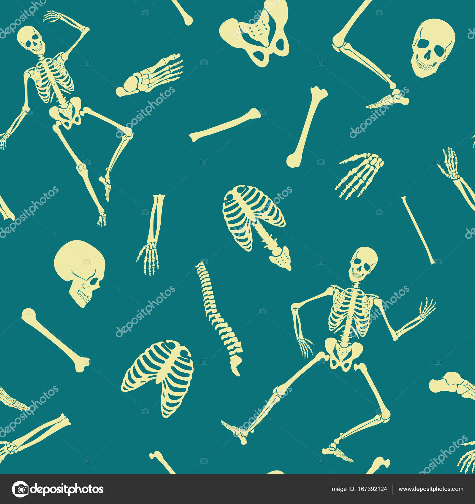 Vector Human skeleton seamless pattern with various single bones and ...
