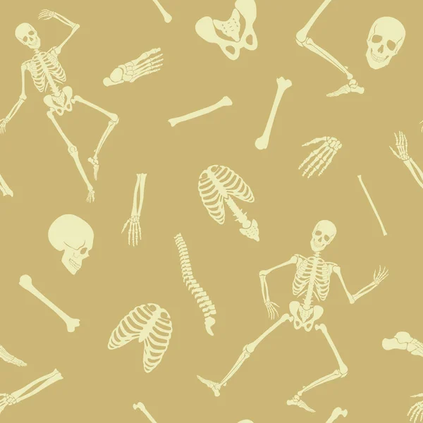 Vector Human skeleton seamless pattern with various single bones and ...