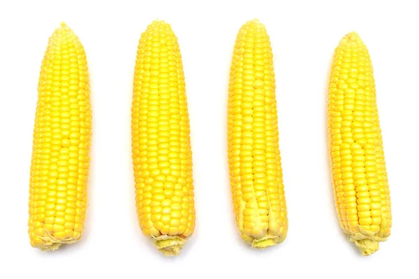 Corn life cycle Stock Photos, Royalty Free Corn life cycle Images ...