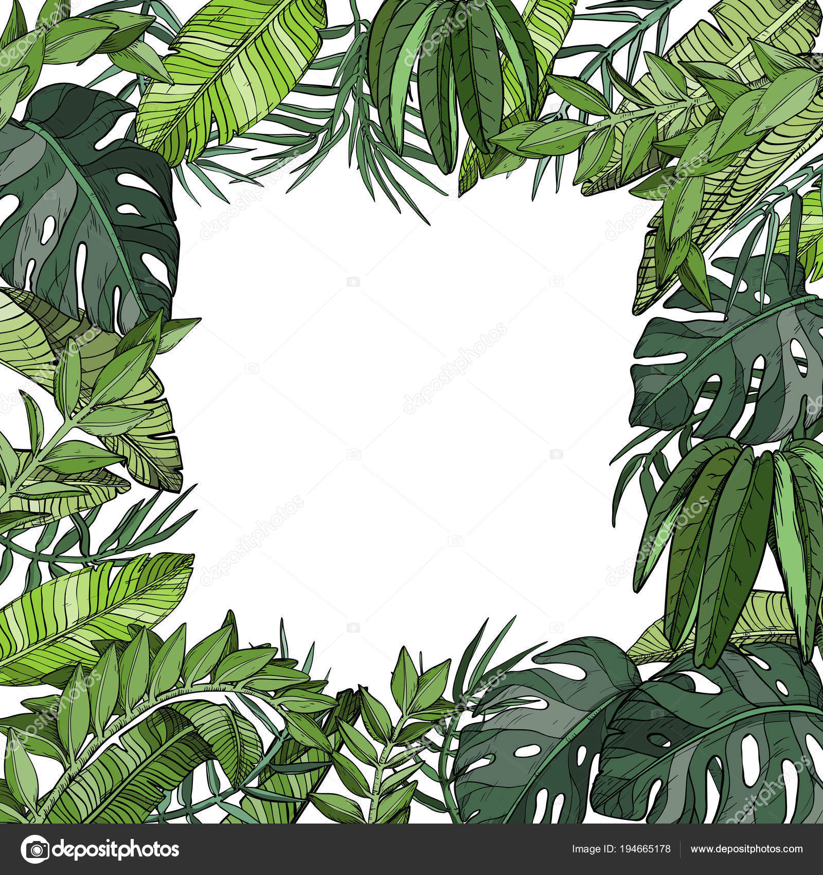 Lista 96+ Foto Plantas De La Selva Con Nombres Cena Hermosa Lista 96+ Foto Plantas De La Selva Con Nombres Cena Hermosa