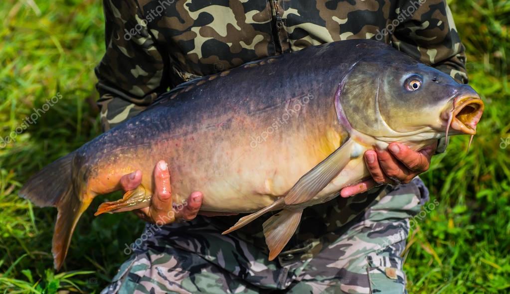 Happy angler with carp fishing trophy — Stock Photo © bukhta79 #128809402