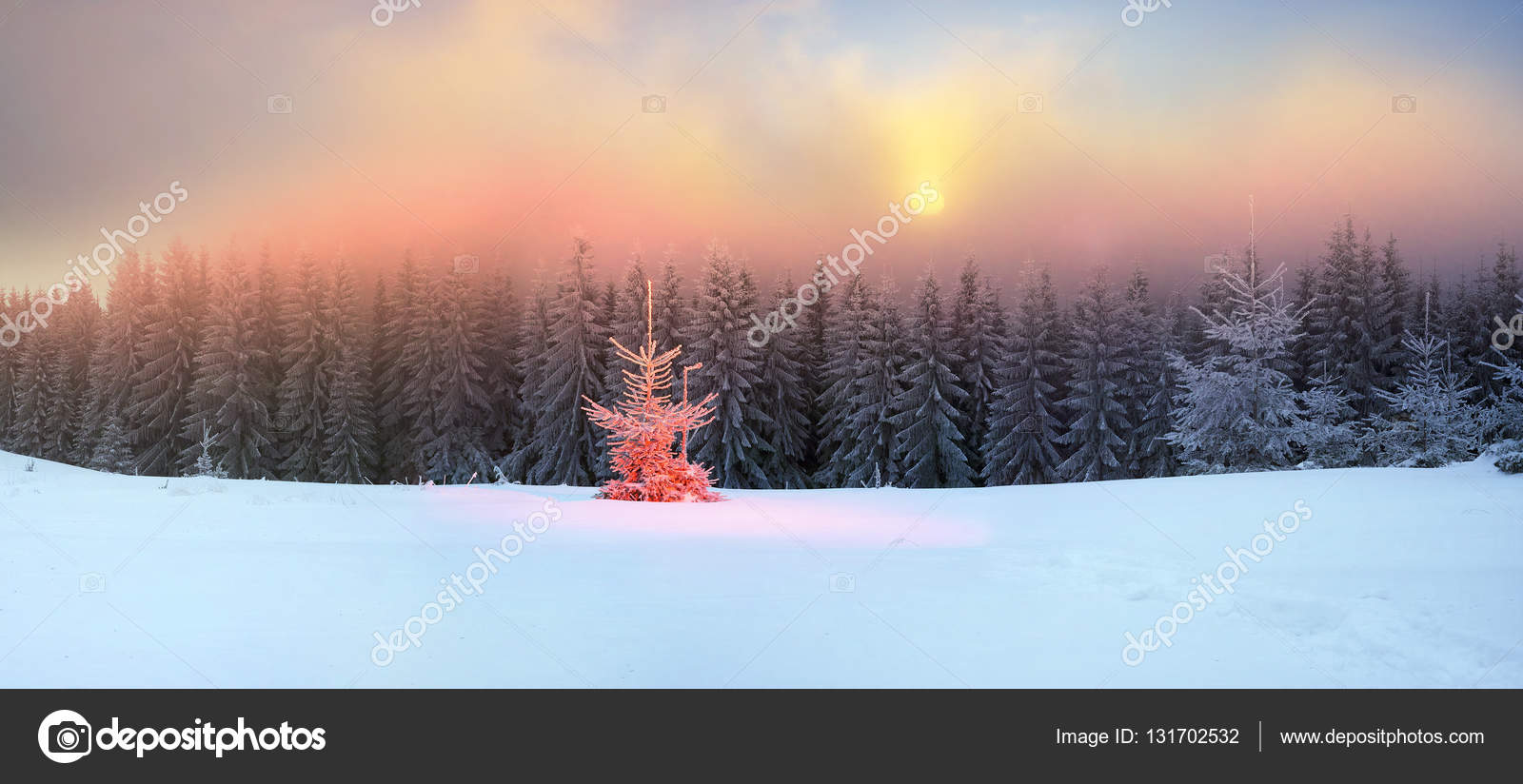 Magic tree on Christmas in the forest Stock Photo by ©panaramka.ukr.net ...