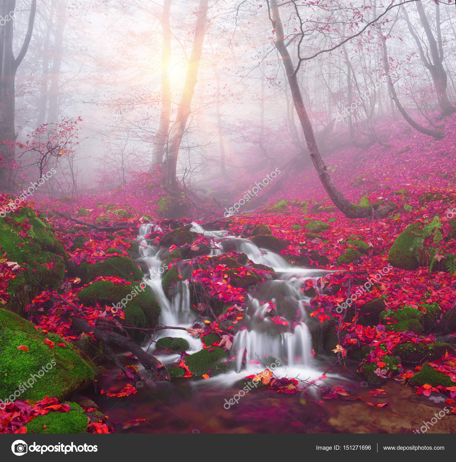 Stream in the mountain forest — Stock Photo © panaramka.ukr.net #151271696