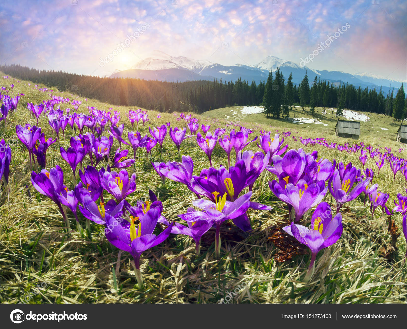 Imágenes Del Primer Día De Primavera