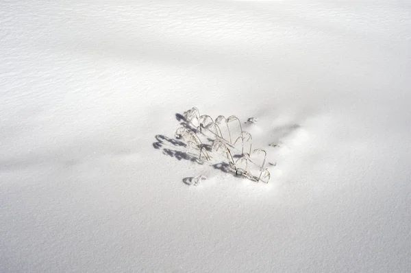 Beautiful drawing of light Stock Photo by ©panaramka.ukr.net 178341046