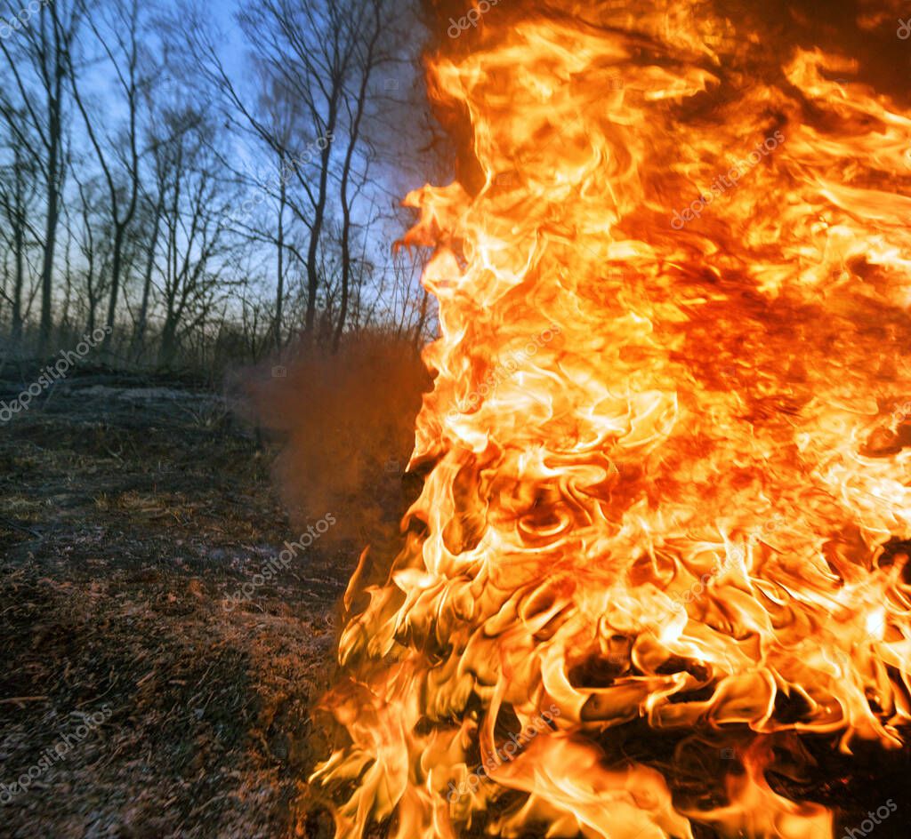 El incendio provocado por la hierba seca conduce a incendios masivos ...