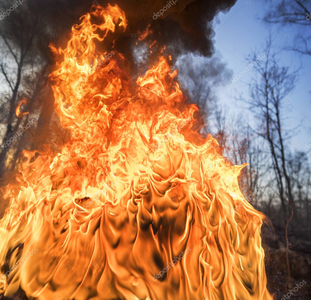 El incendio provocado por la hierba seca conduce a incendios masivos ...