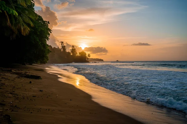 Beautiful remote island of Tobago. Empty wild beaches, palm trees ...
