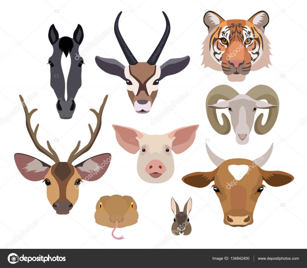 Vector animals heads collection. Flat, cartoon style design elements ...