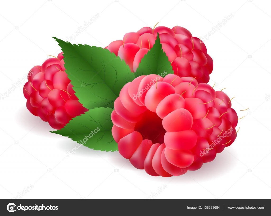 Vector realistic volumetric 3d raspberry with leaves Stock Vector Image ...