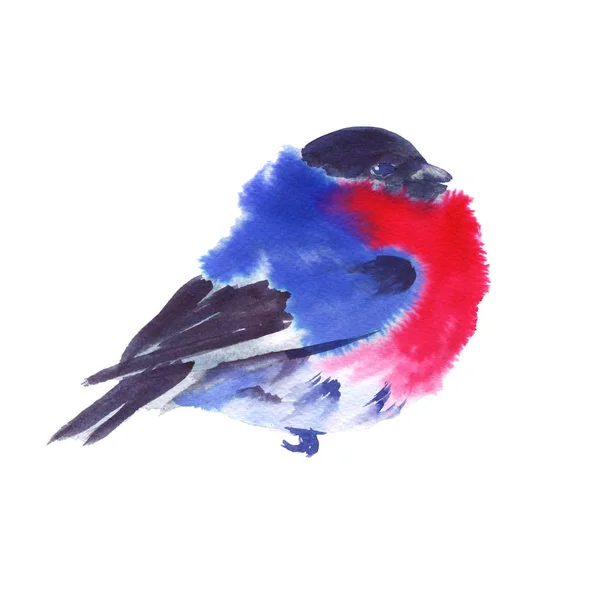 Watercolor bullfinch. bird in flight handwork drawing. Christmas symbol ...