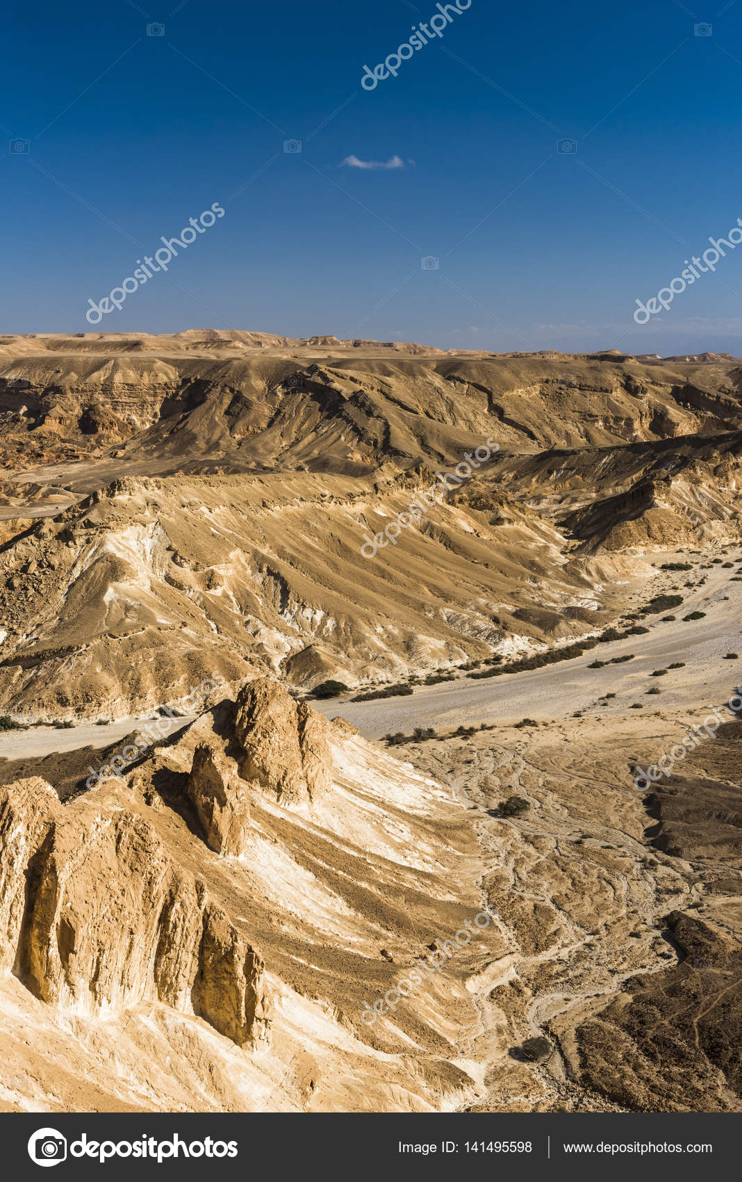 Dry river bed in the Negev desert — Stock Photo © ivanov.autobau.ru ...