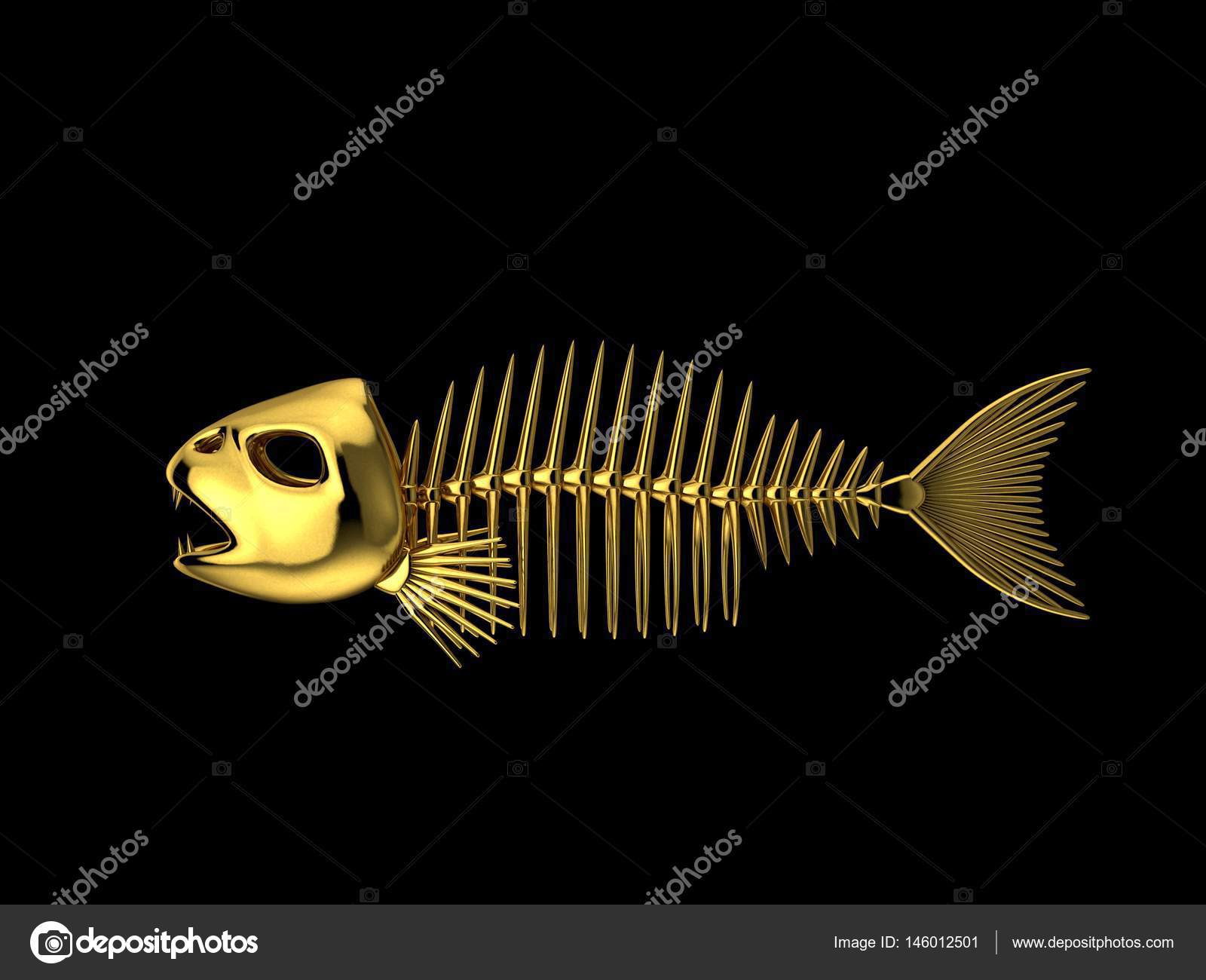 Goldfish Skeleton