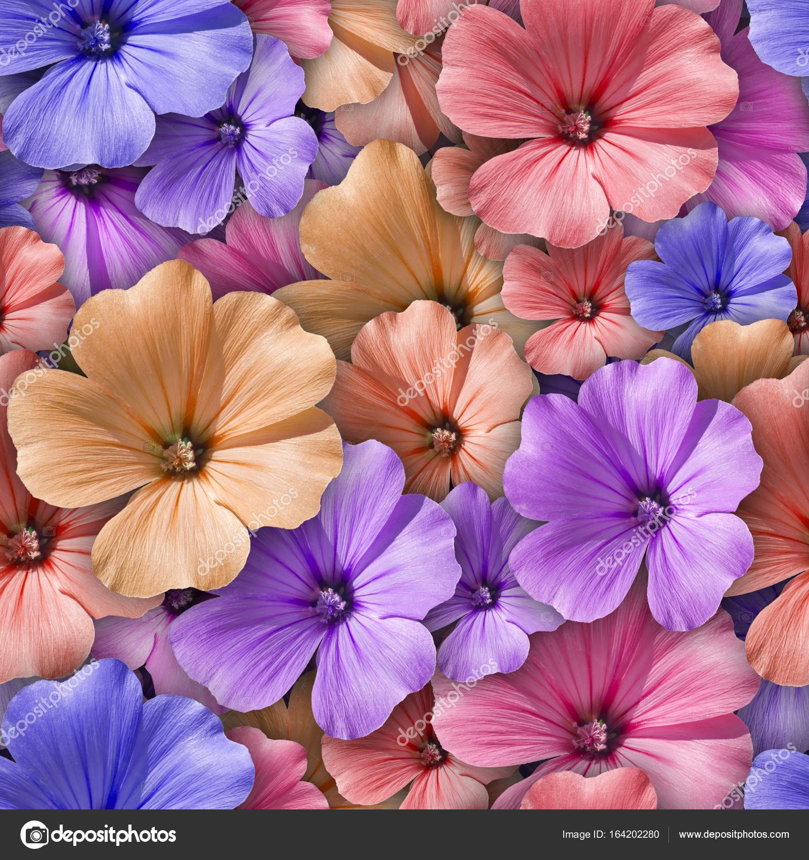 Colorful background with Geranium flower. Seamless pattern. Stock Photo ...