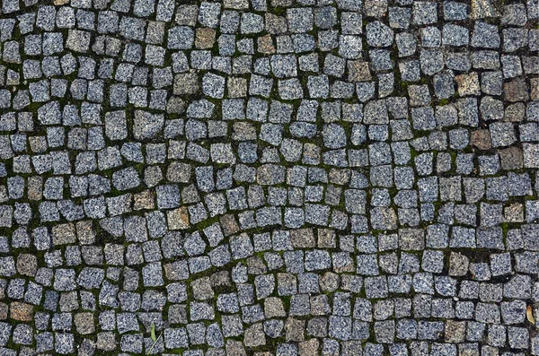 Photo of a platform made of paving stones of a square shape. Top view ...