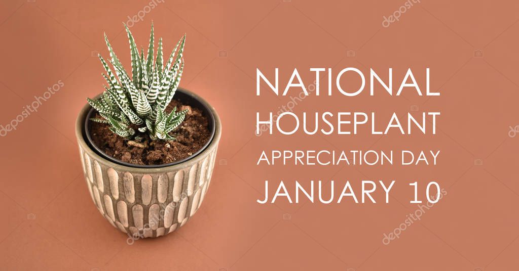 Día Nacional de la Apreciación de las Plantas de Casa imágenes 2022