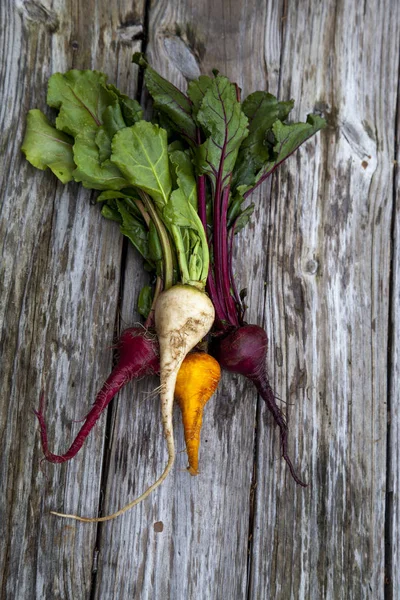Red, orange and yellow beets - Stock Image - Everypixel