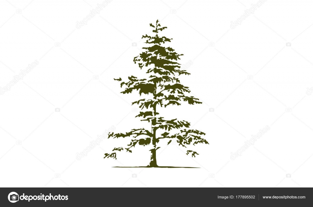 Cedar Tree Logo Design Template Vector — Stock Vector © alluranet ...