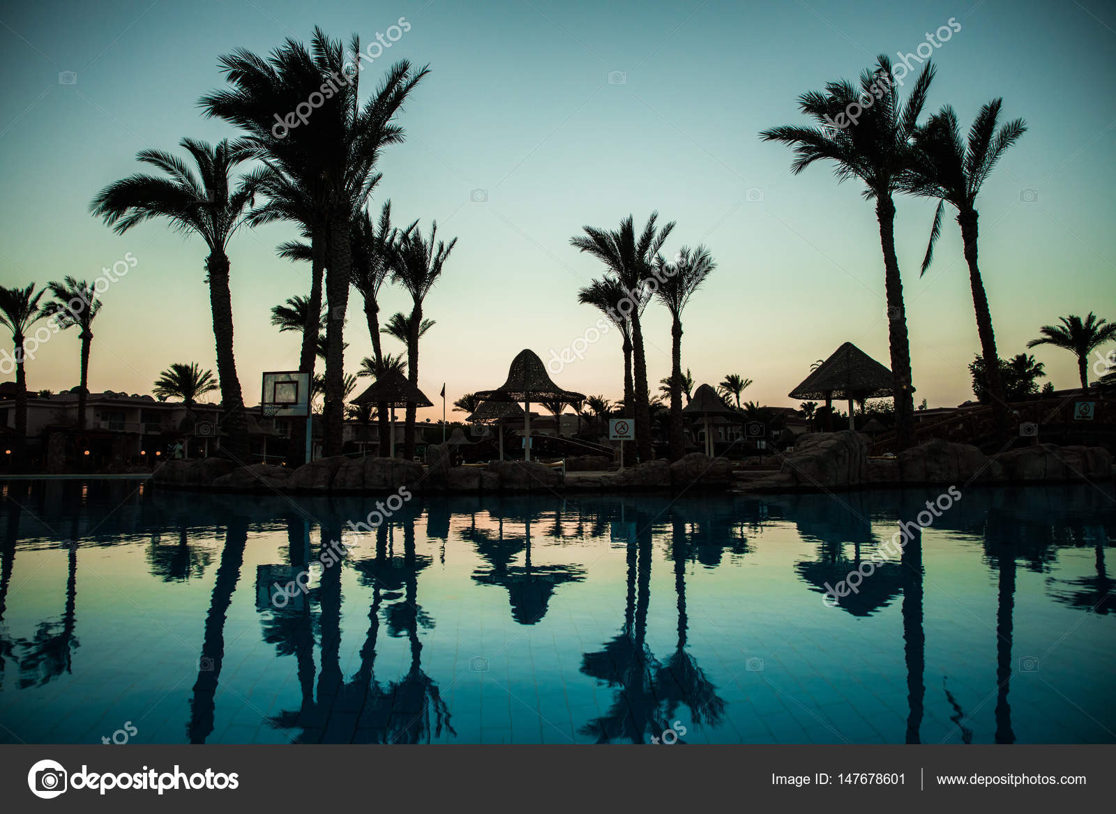 Pool with palm trees near the ocean during a beautiful sunset. Summer ...
