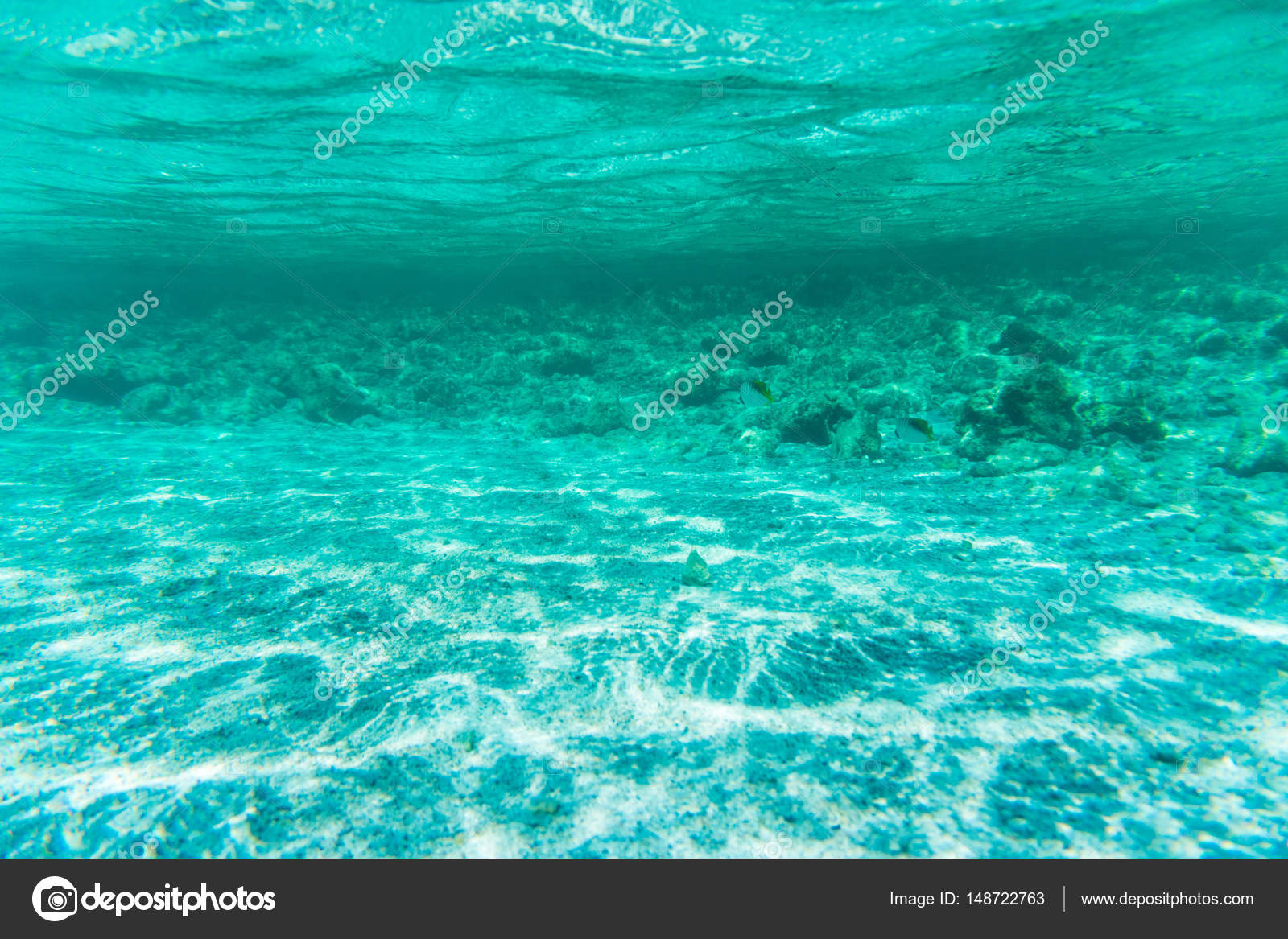 Ocean Underwater Texture