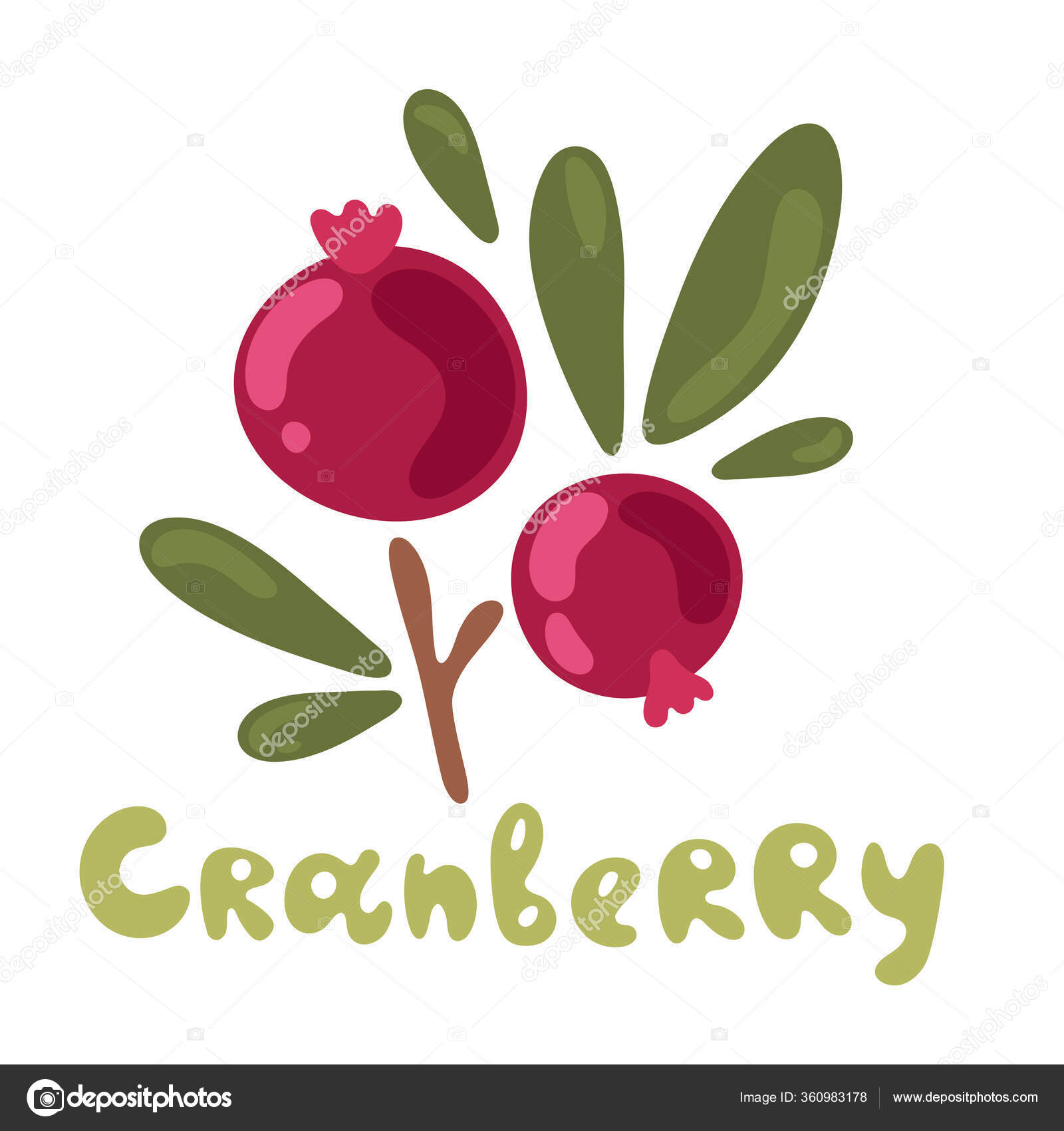 Vector Color Illustration Cranberry Handwritten Lettering Name English ...