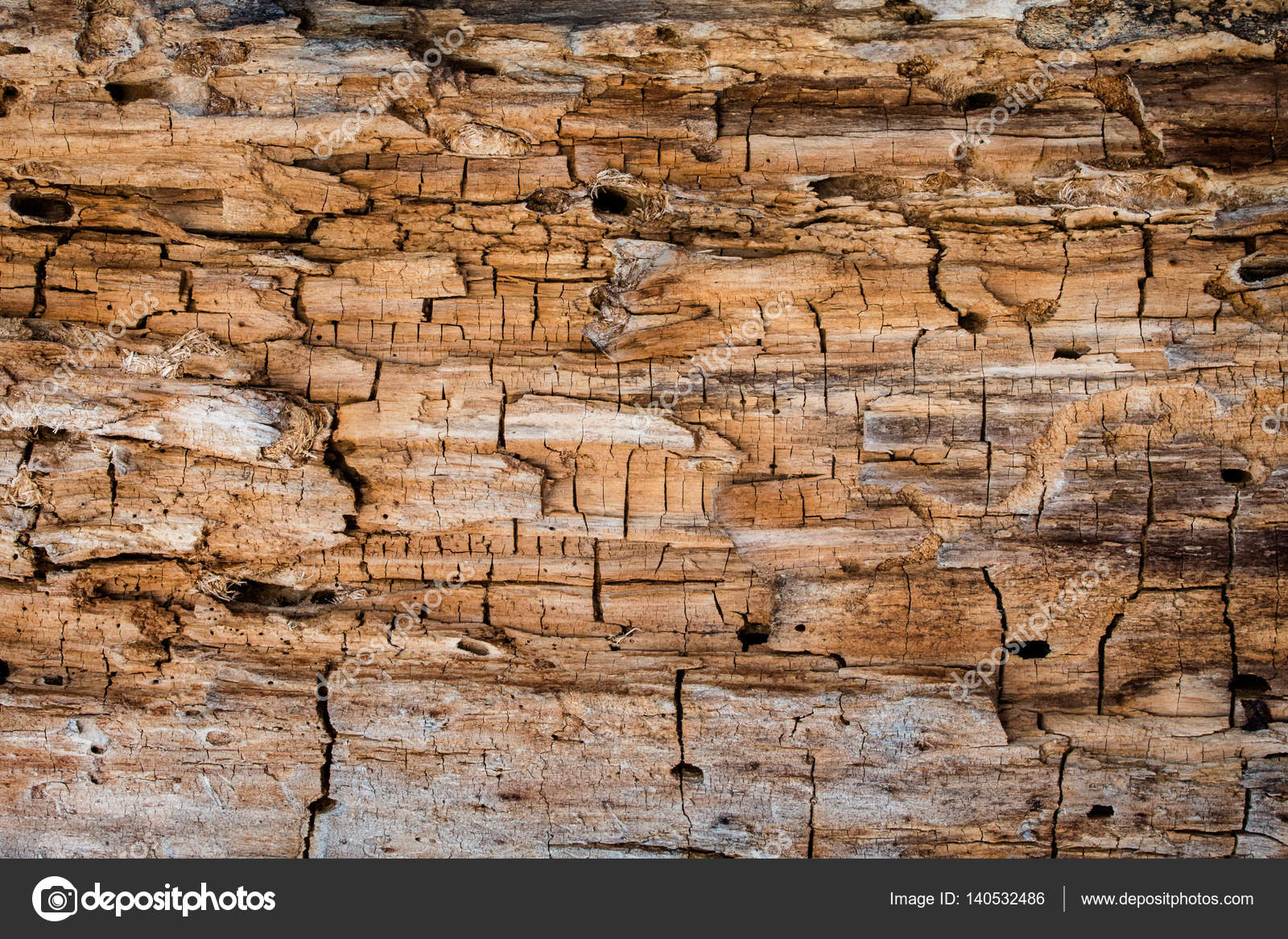 Rotting wood texture | Rotting wood texture — Stock Photo © DenisVesely ...