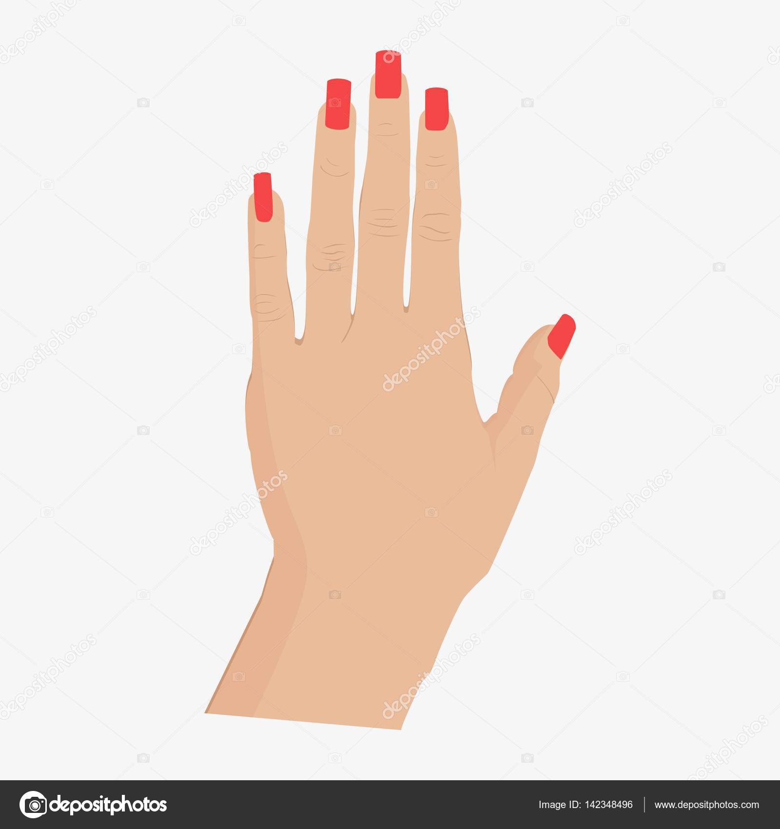 Ilustración del vector mano Vector de stock #142348496 de ©hlivnyk.a ...