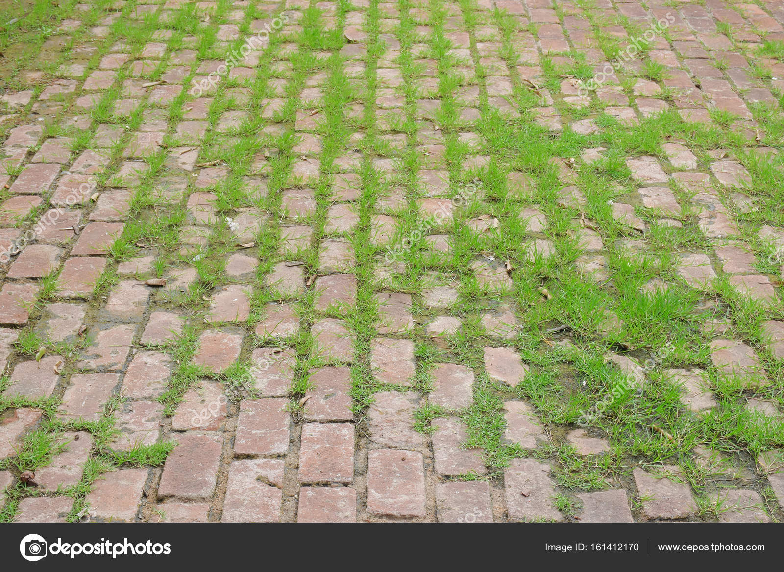 Stone block with grass pavement Stock Photo by ©WorldWide_Stock 161412170