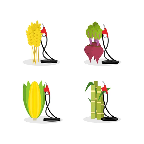 Bio ethanol Vector Art Stock Images | Depositphotos