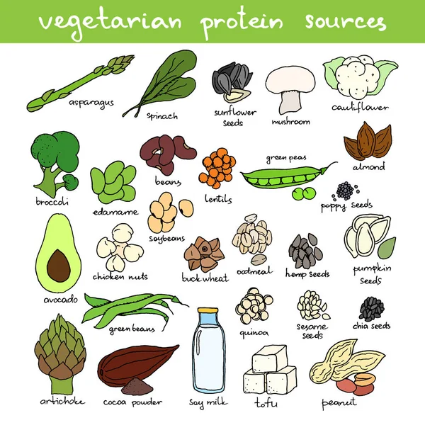 Hand drawn vegan protein sources Stock Vector Image by ©unununij #157790910