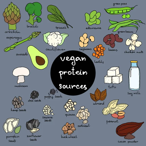 Hand drawn vegan protein sources Stock Vector Image by ©unununij #157790910