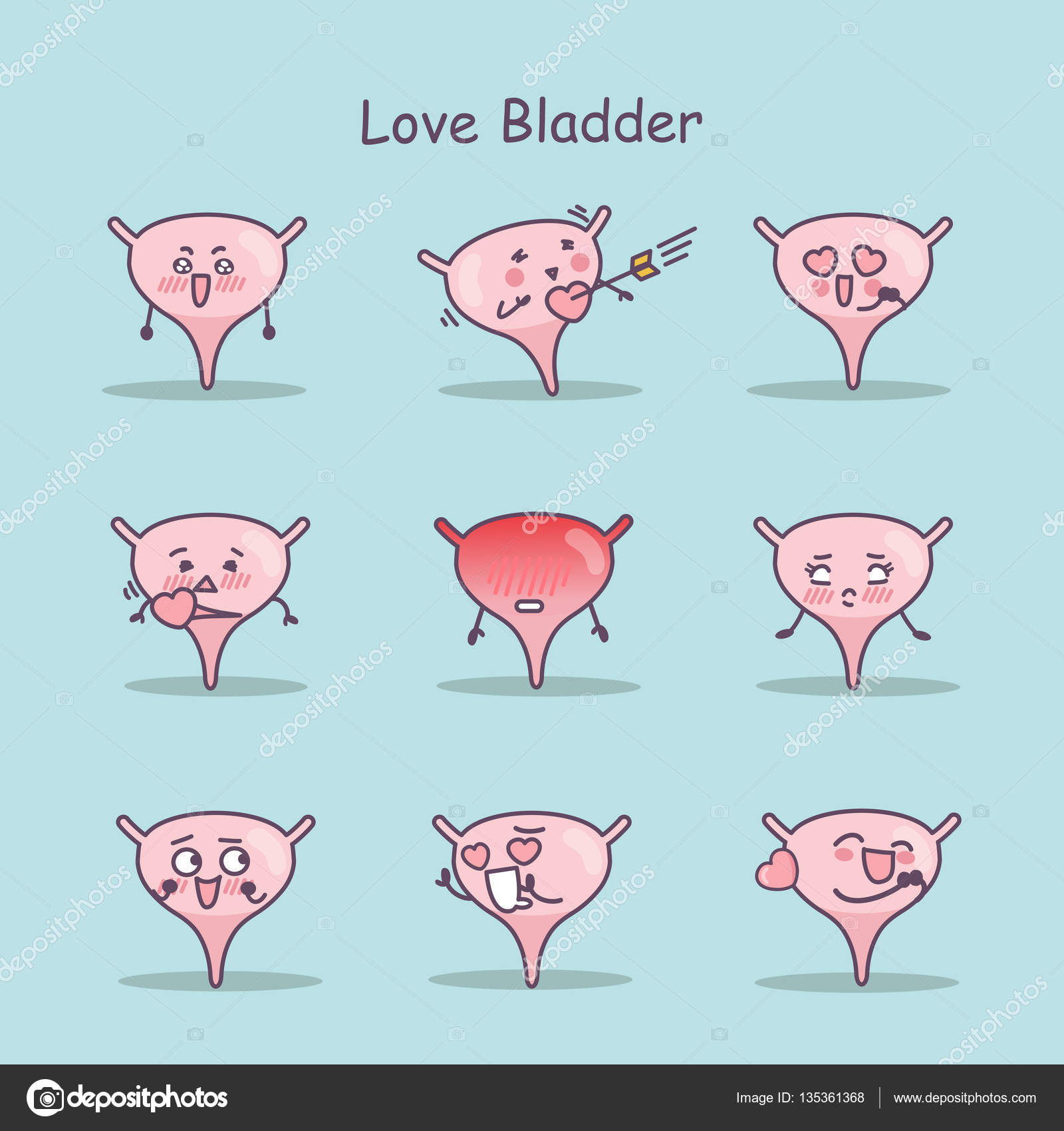 Animated Bladder