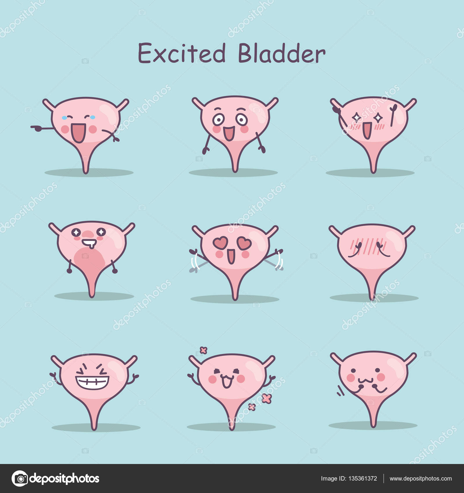 Animated Bladder
