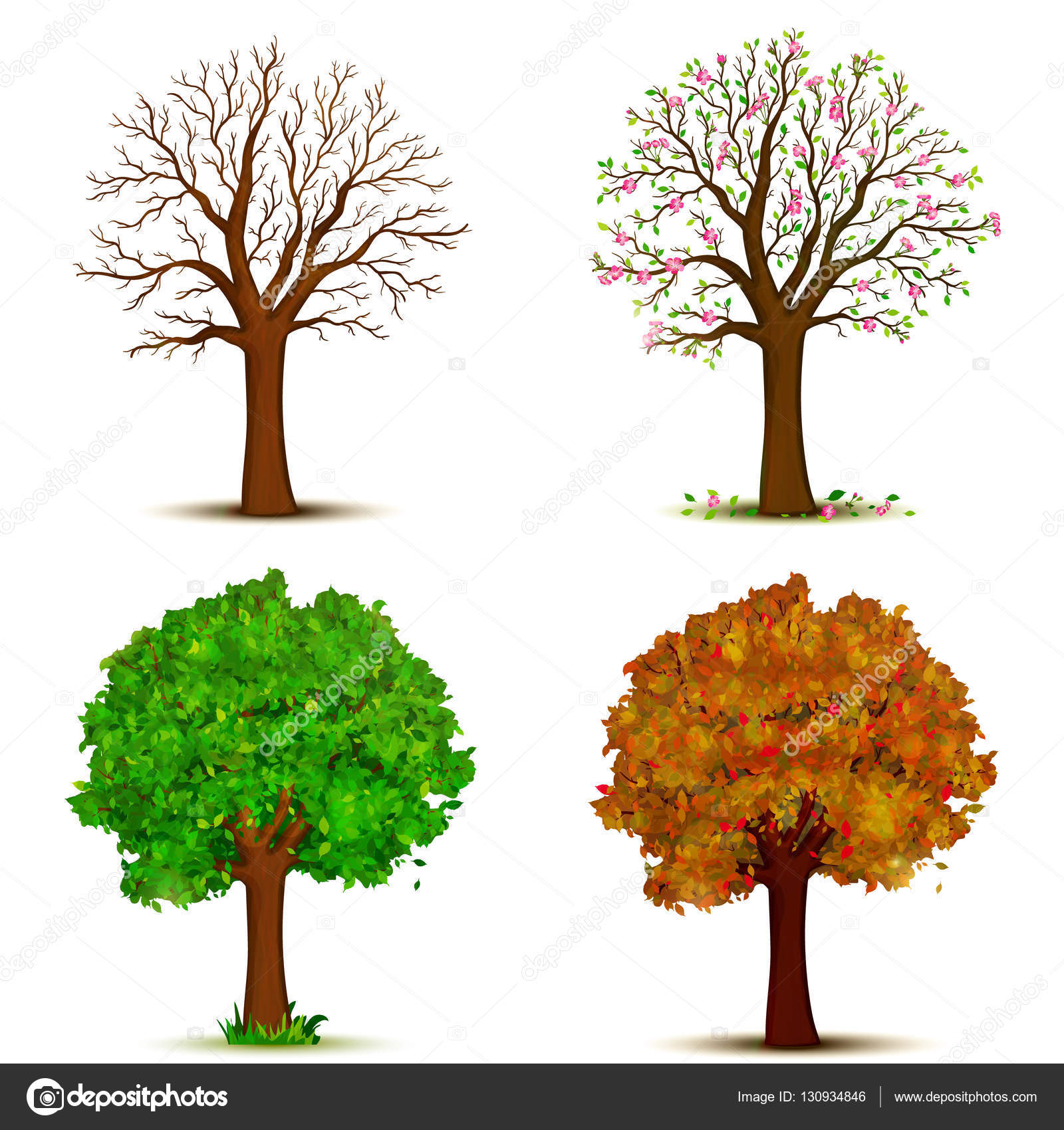 Four seasons trees vector Stock Vector Image by ©MarBom #130934846 Four seasons trees vector Stock Vector Image by ©MarBom #130934846