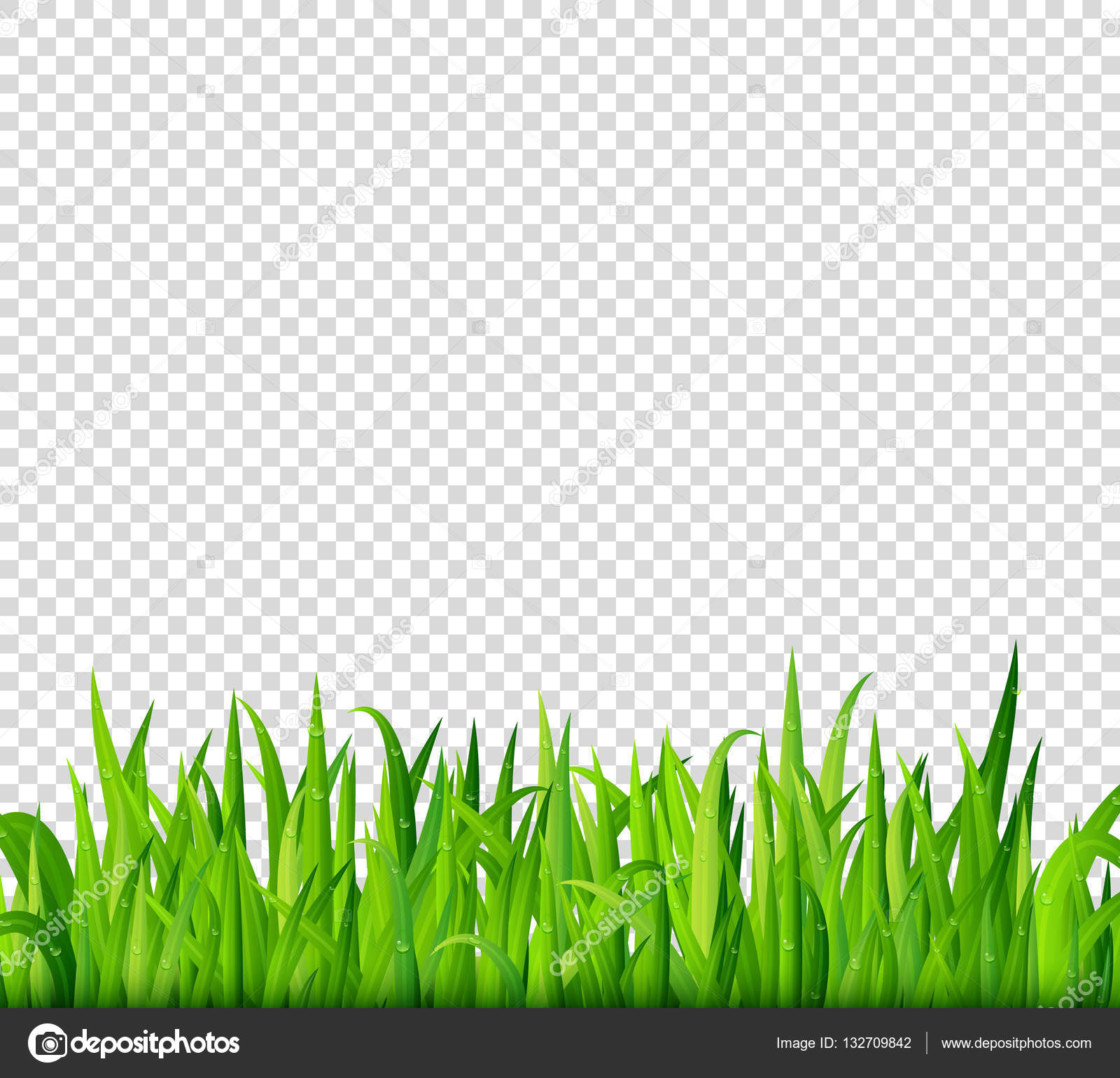 Green grass border on transparent background vector Stock Vector Image ...