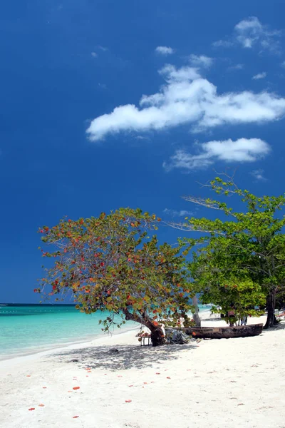 Tulsi gabbard beach Stock Photos, Royalty Free Tulsi gabbard beach ...