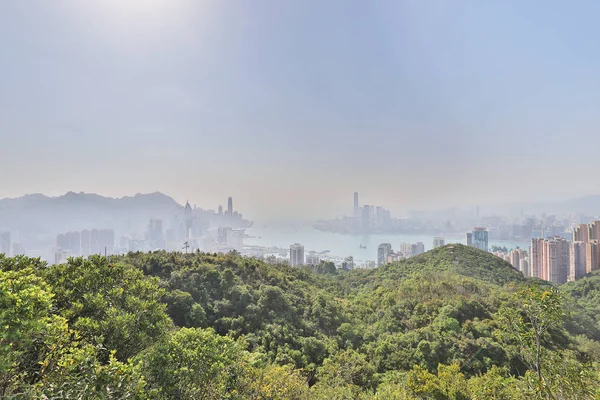 Cecils Stock Photos, Royalty Free Cecils Images | Depositphotos